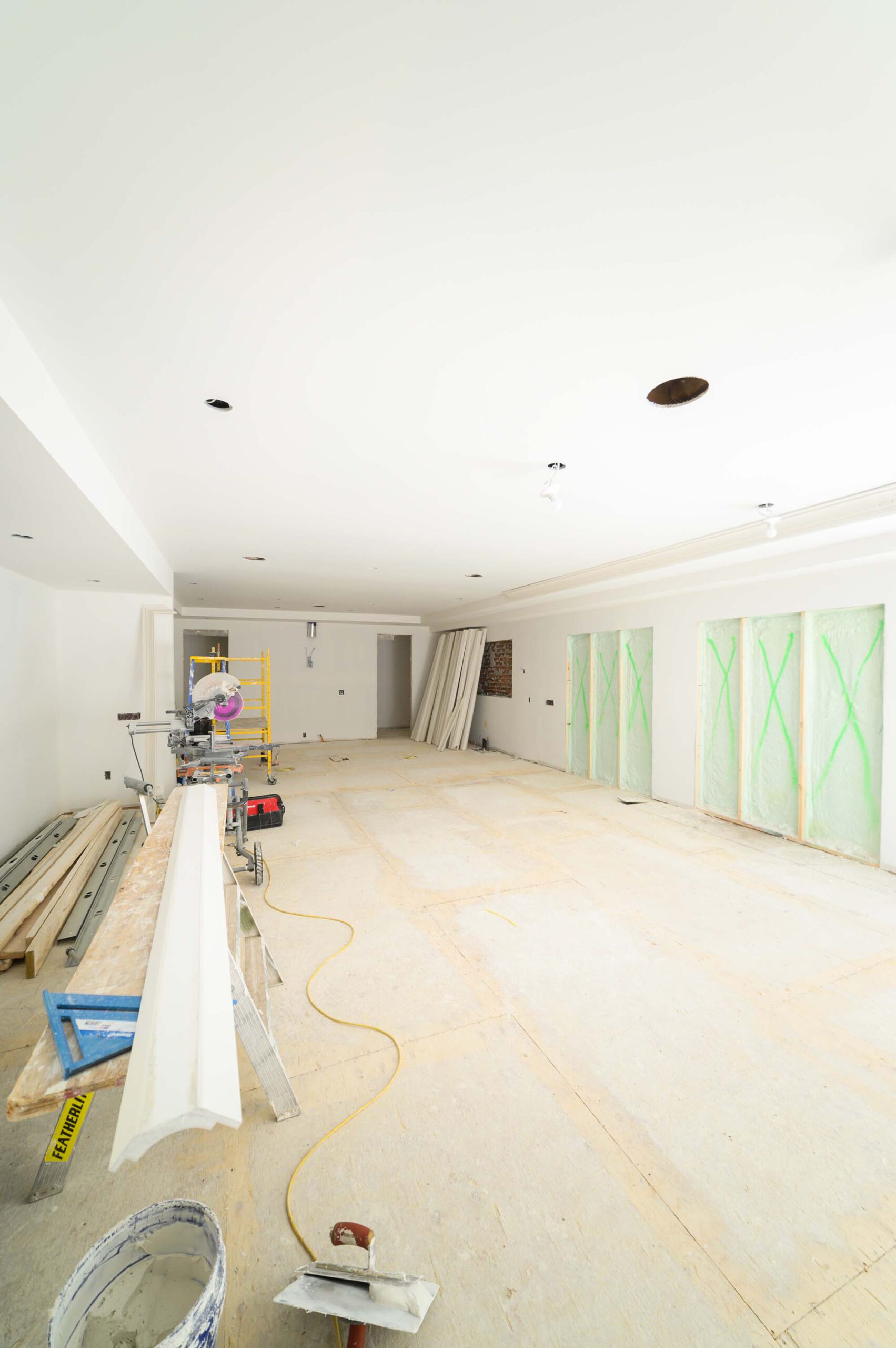 King Reno Project - Delfina Group Inc. | Limitless Building : Delfina ...